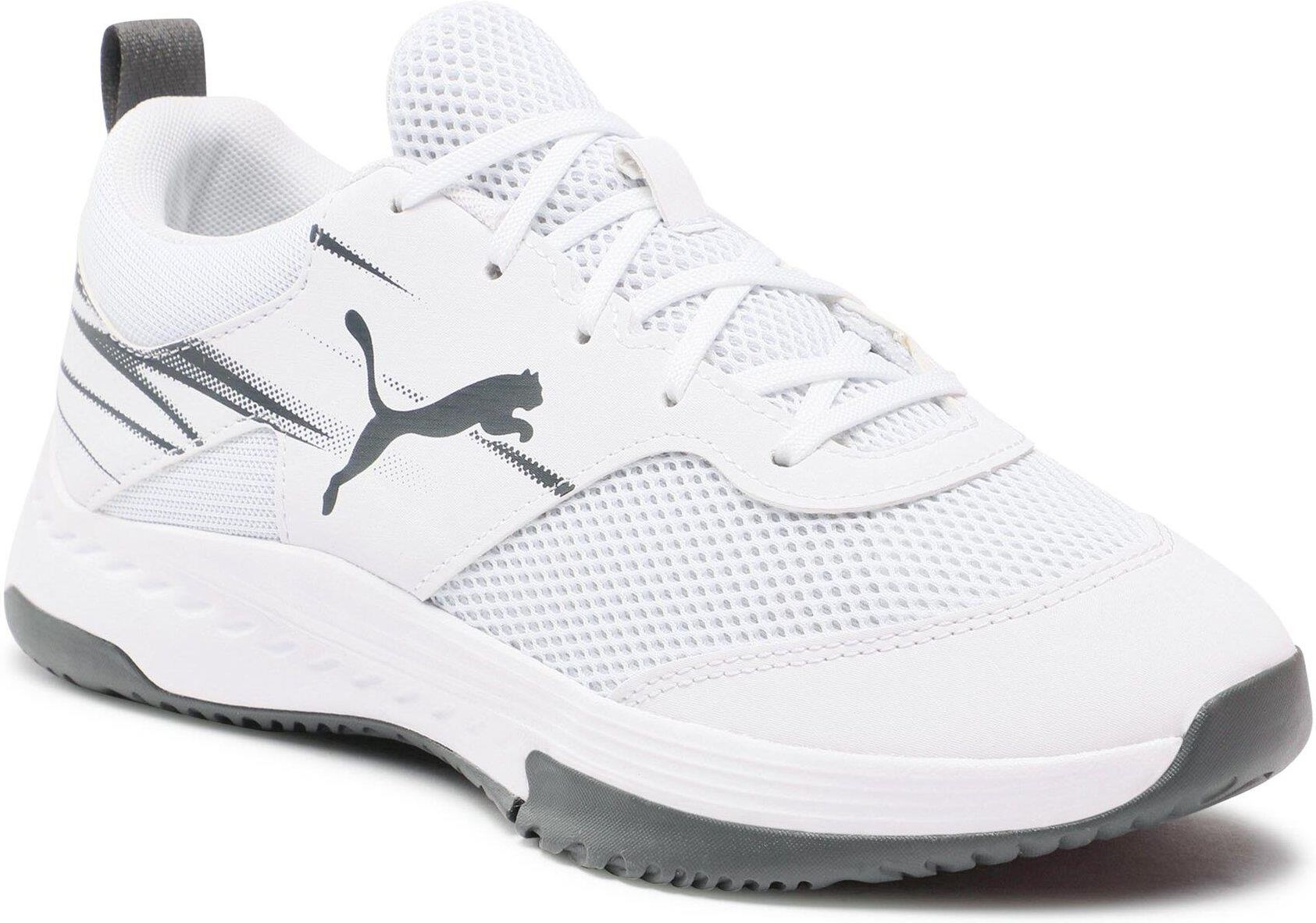 Buty Puma - Ceny i opinie - Ceneo.pl