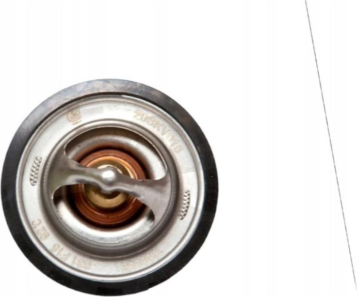 Esen Skv Termostat Do Audi Daewoo Opel Vw Zamiennik 1338052 - Opinie i ...