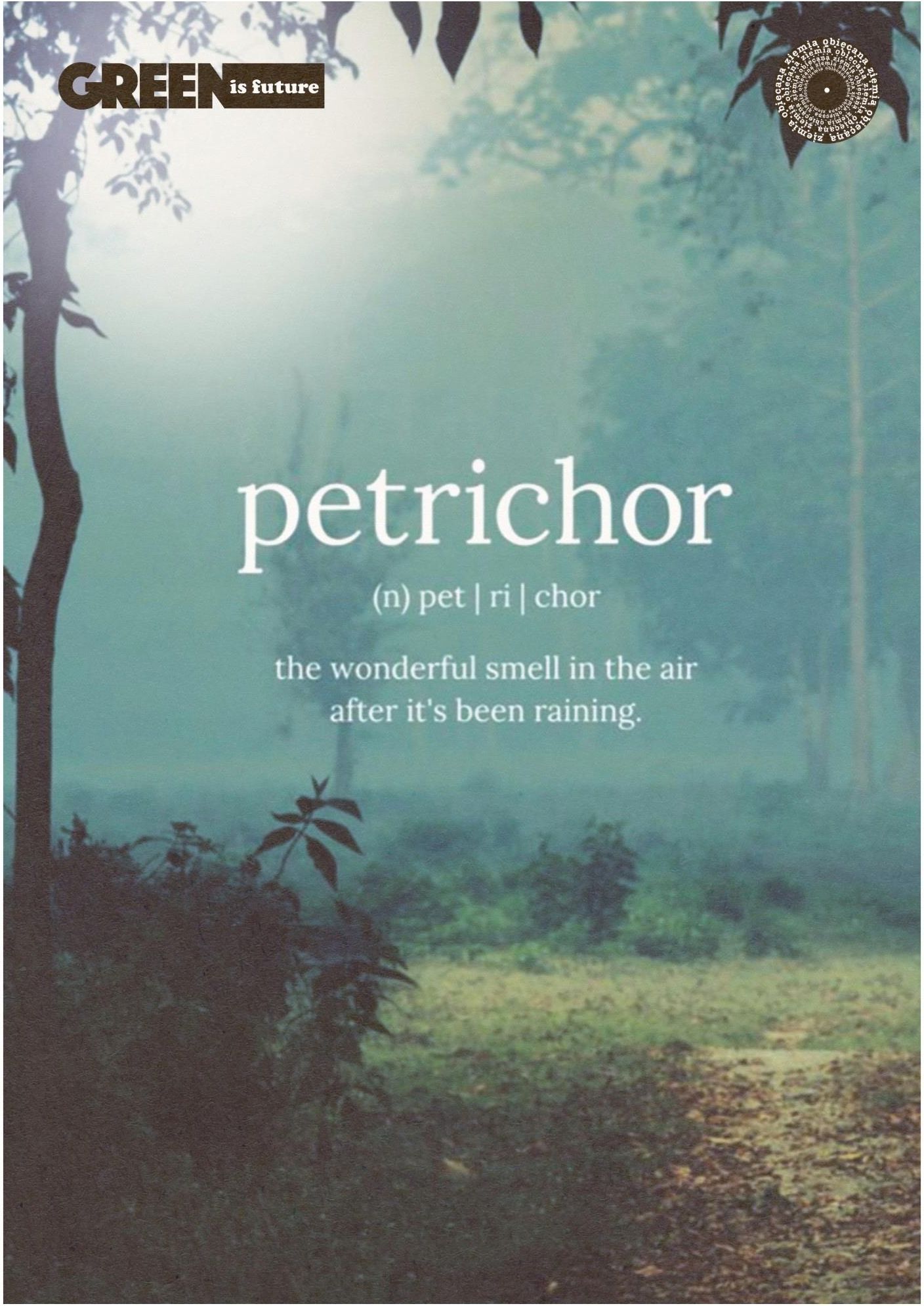 Ziemia Obiecana Jami Green.Mystery Zeszyt 60A5 W Linie K R A F T - Ceny ...