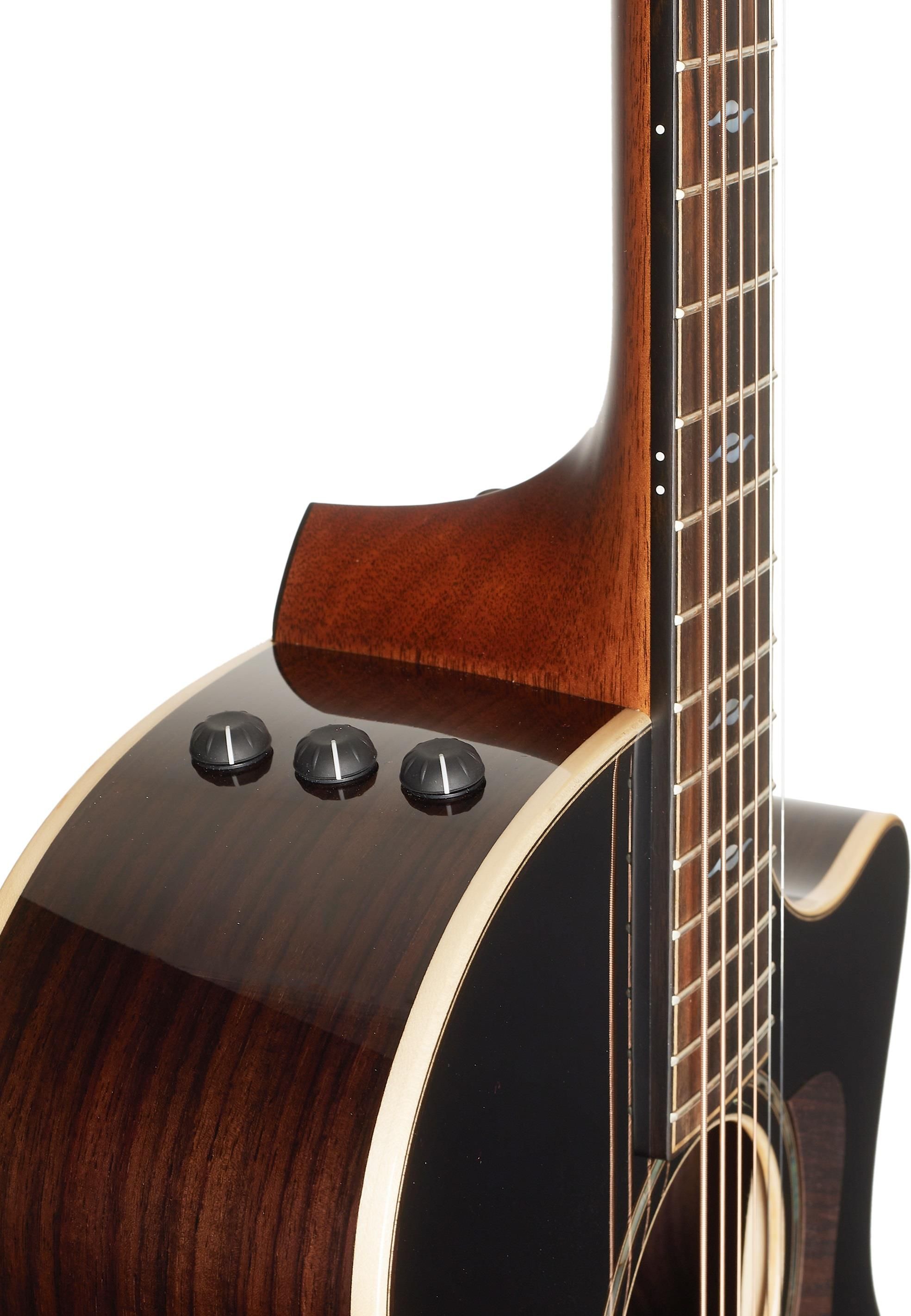 Taylor 814ce Blacktop Special Edition - Ceny i opinie - Ceneo.pl