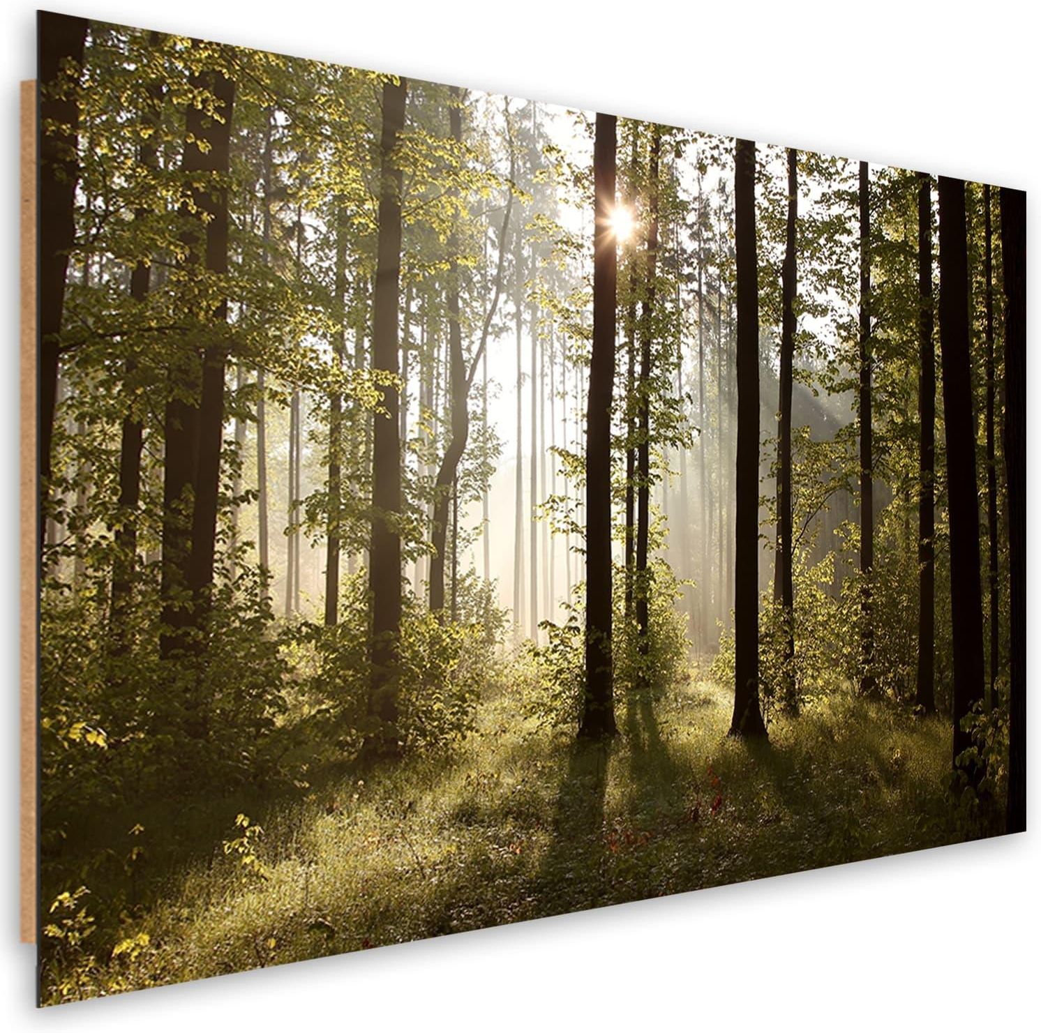 Feeby Obraz Deco Panel Poranek W Lesie 120x80 1493202 - Opinie i ...