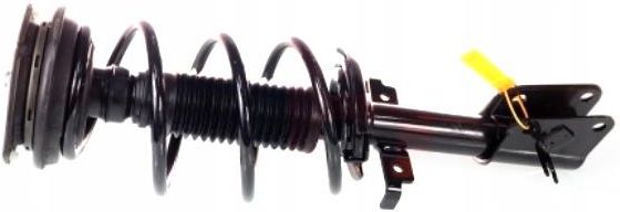Amortyzator samochodowy Gh Kolumna Zawieszenia 2Szt Przód L P Renault Laguna - Opinie i ceny na ...