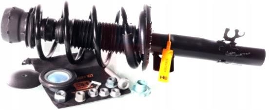 Amortyzator samochodowy Gh Kolumna Zawieszenia 2Szt Przód L P Seat Ibiza Iv - Opinie i ceny na ...