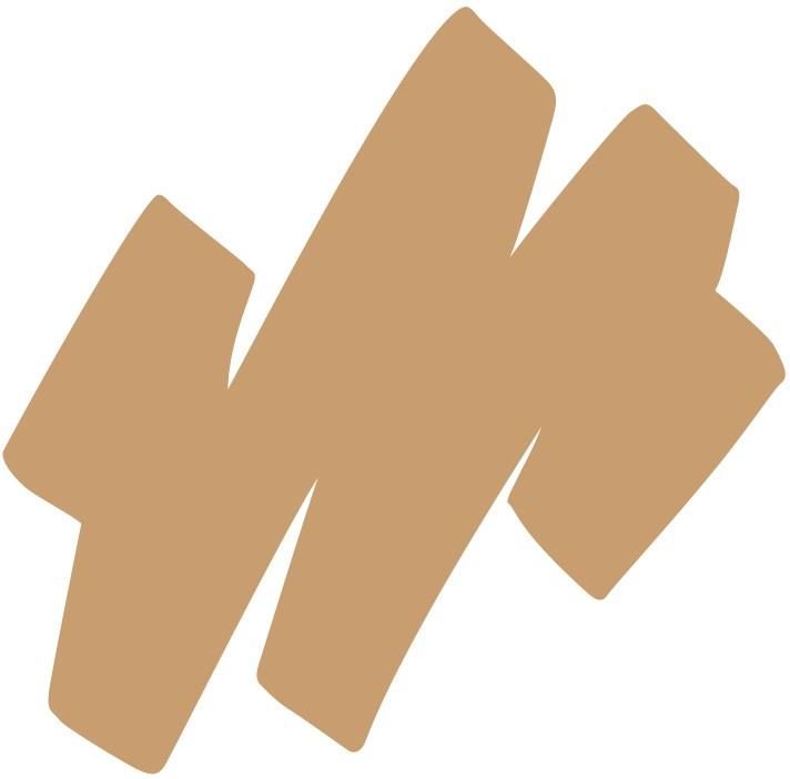 Too Tusz Copic Ink E23 Hazelnut (21076356) - Ceny i opinie - Ceneo.pl