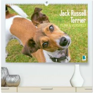 Jack Russell Terrier: flink und verspielt (hochwertiger Premium ...