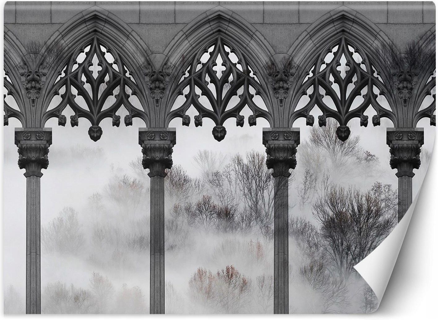 Feeby Drzewa Mgła Filary Czarny Biały 350x245 - Opinie i ceny na Ceneo.pl