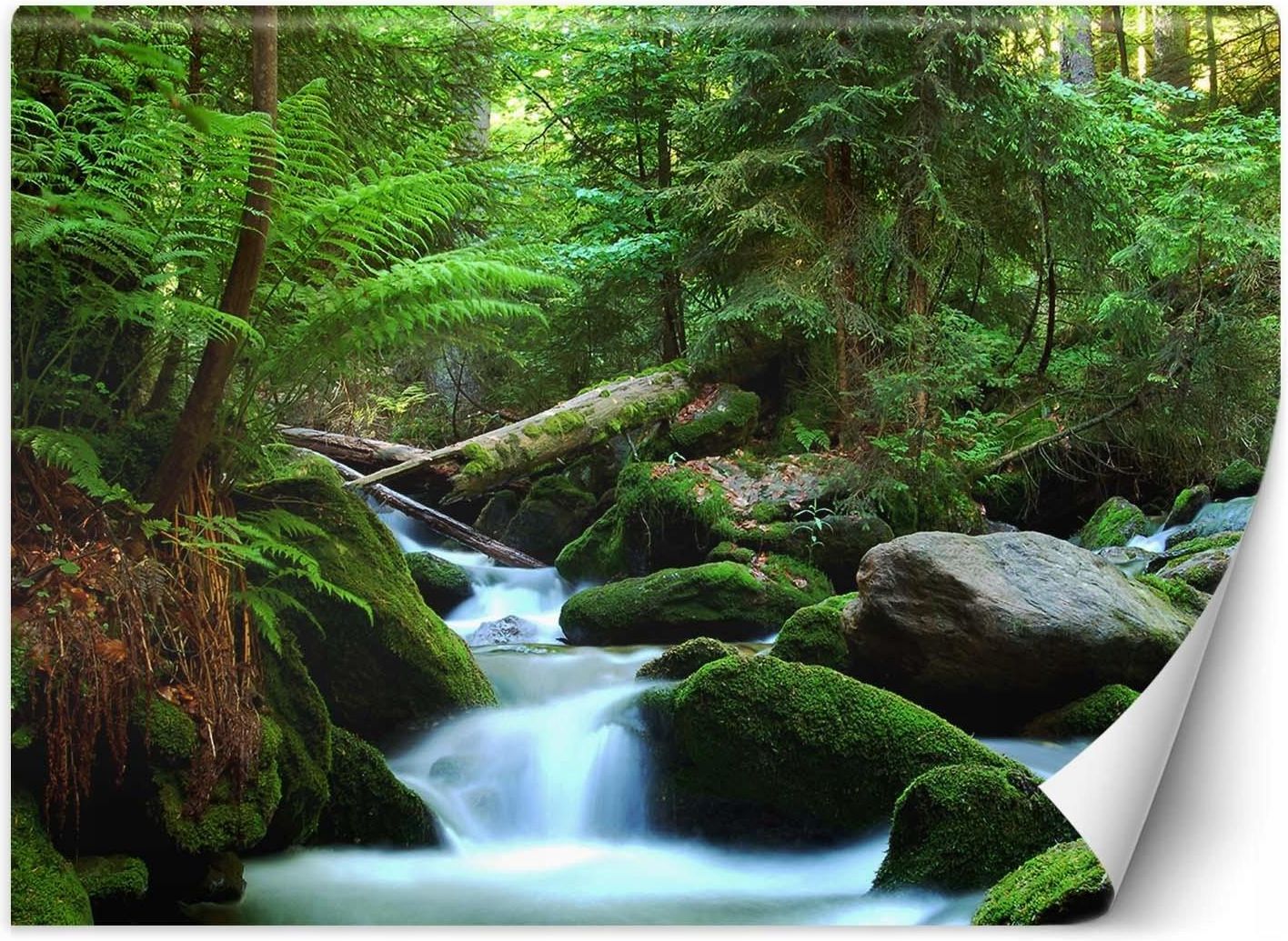 Feeby Zielony Las 250x175 - Opinie i ceny na Ceneo.pl