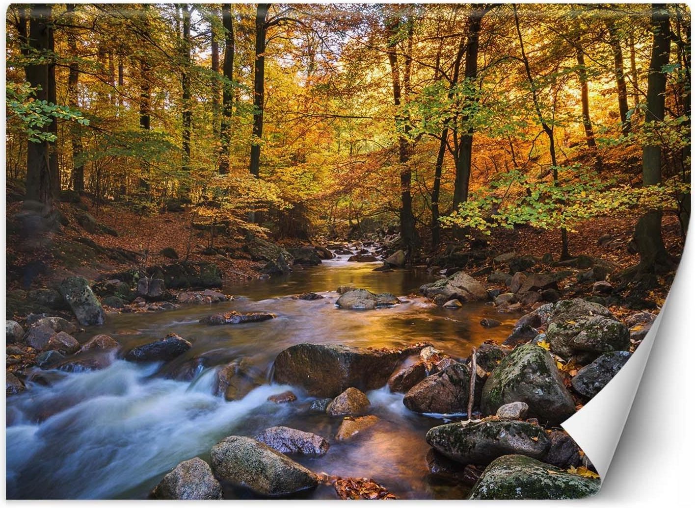 Feeby Leśna Rzeczka 300x210 - Opinie i ceny na Ceneo.pl