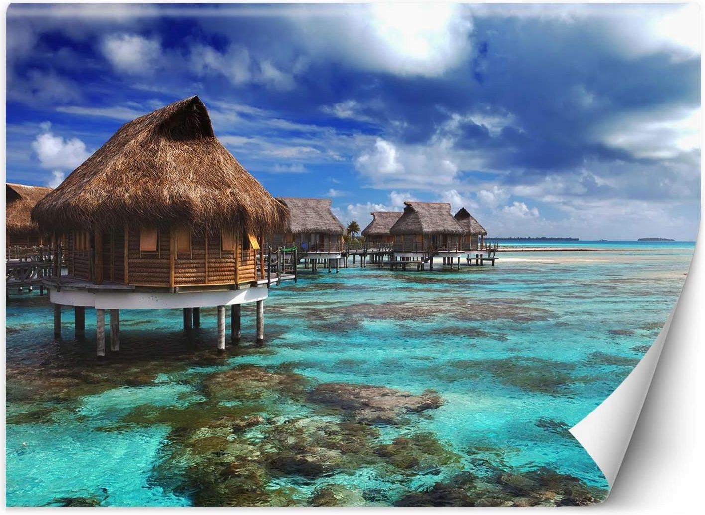 Feeby Domek W Błękitnej Wodzie 150x105 - Opinie i ceny na Ceneo.pl