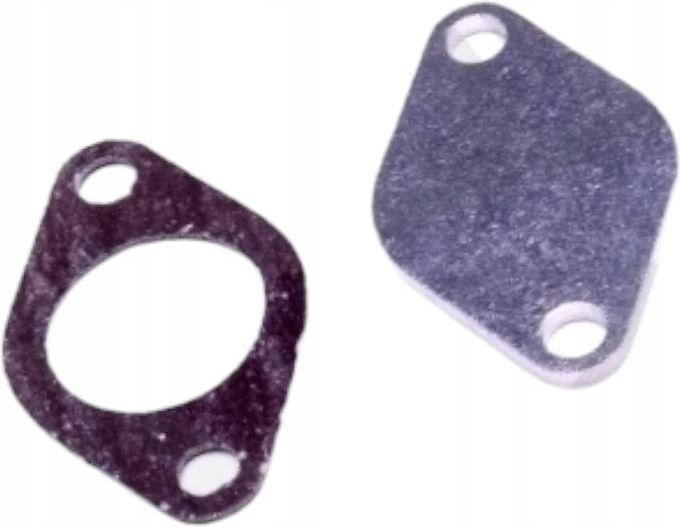 Esen Skv Zestaw Naprawczy Egr Vag 1 9 2 0 5 Tdi 14Skv542 - Opinie i ...