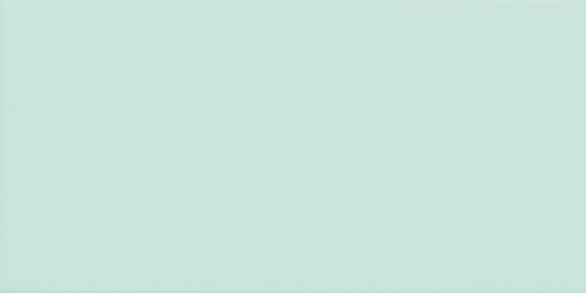 Płytki Imola Ceramica Icona Latte Menta Natural Pol 10x20 - Opinie i ...