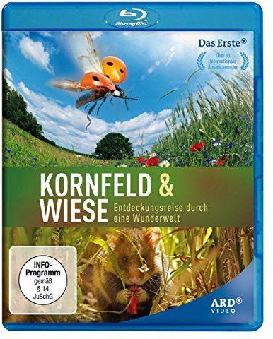 Film Blu-ray Kornfeld und Wiese - Entdeckungsreise durch eine ...