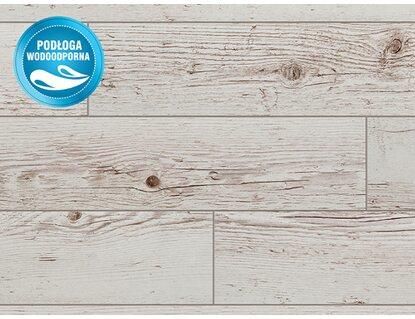 Panele Classen Floors Classen Świerk Chester 8mm AC4 6917439 - Opinie i ...