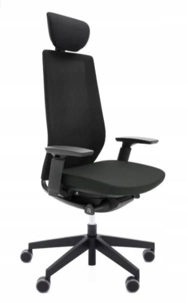 Profim Fotel Ergonomiczny Accispro 150Sfl Zagłówek - Opinie i ...