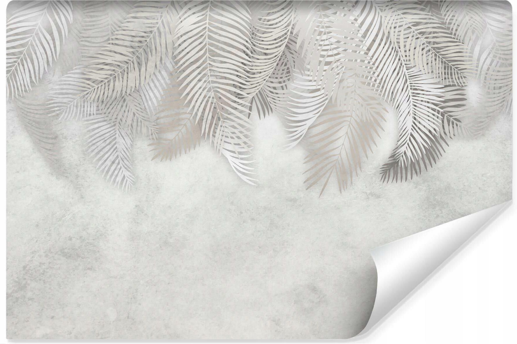 Muralo Liście Palmowe Beton Abstrakcja Rośliny 135x90 - Opinie i ceny na Ceneo.pl