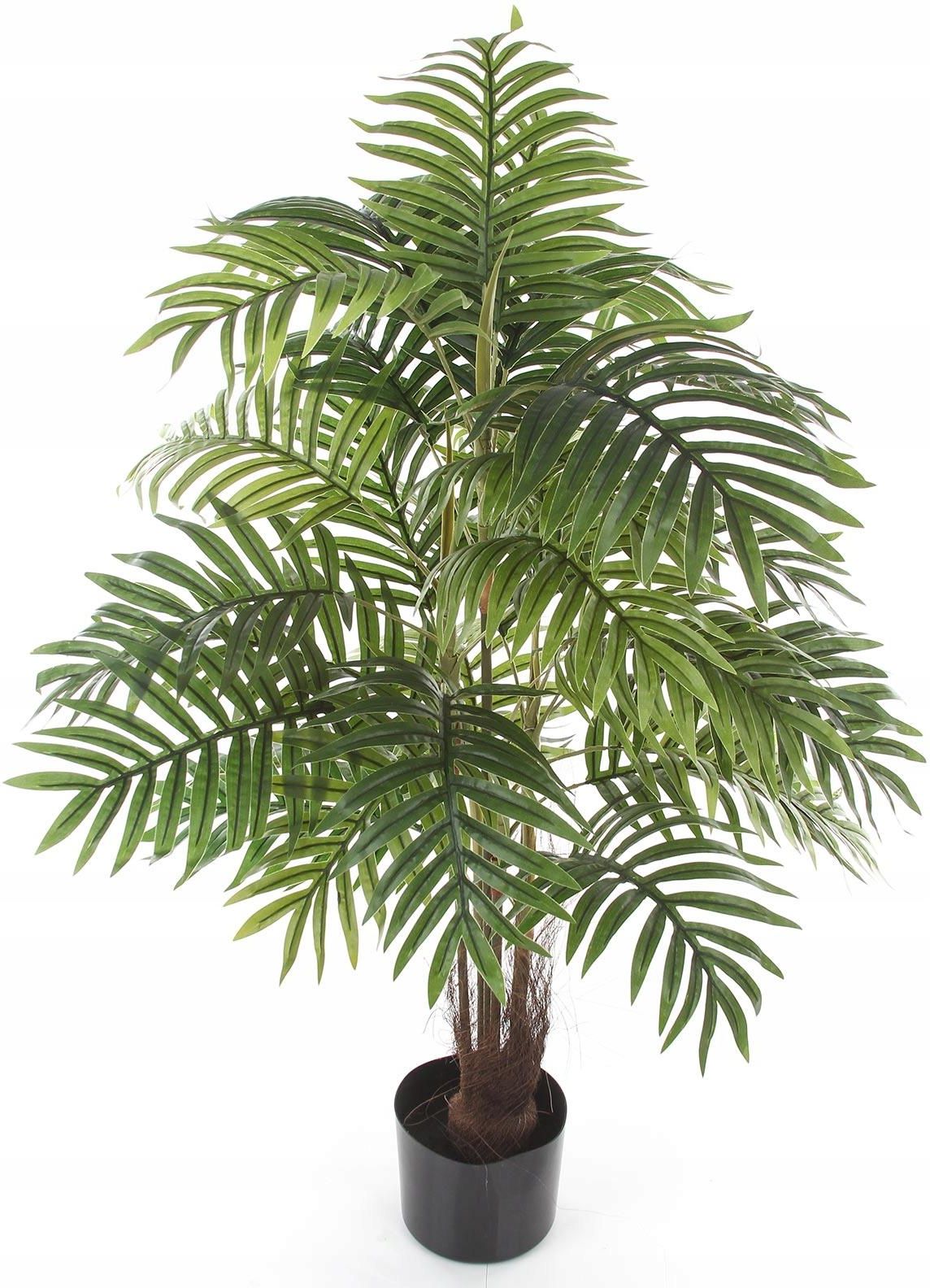 Areca Palmy Jak Żywe Sztuczna Palma Areka 110 - Opinie i atrakcyjne ...