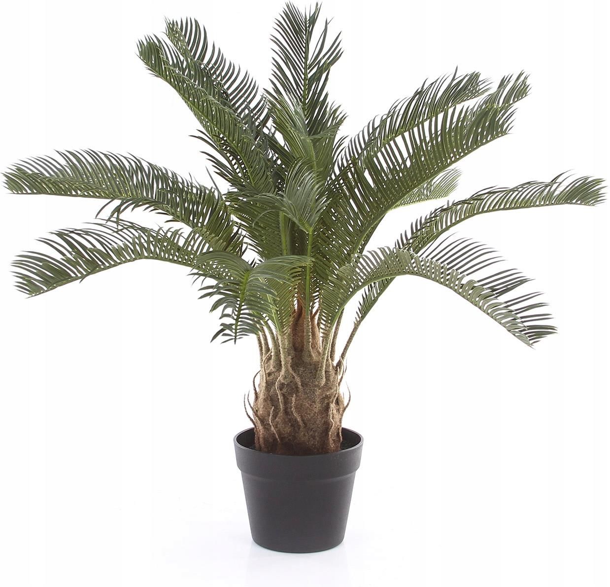 Sztuczna Palma Wysokiej Jakości Cycas 60Cm Cykas - Opinie i atrakcyjne ...