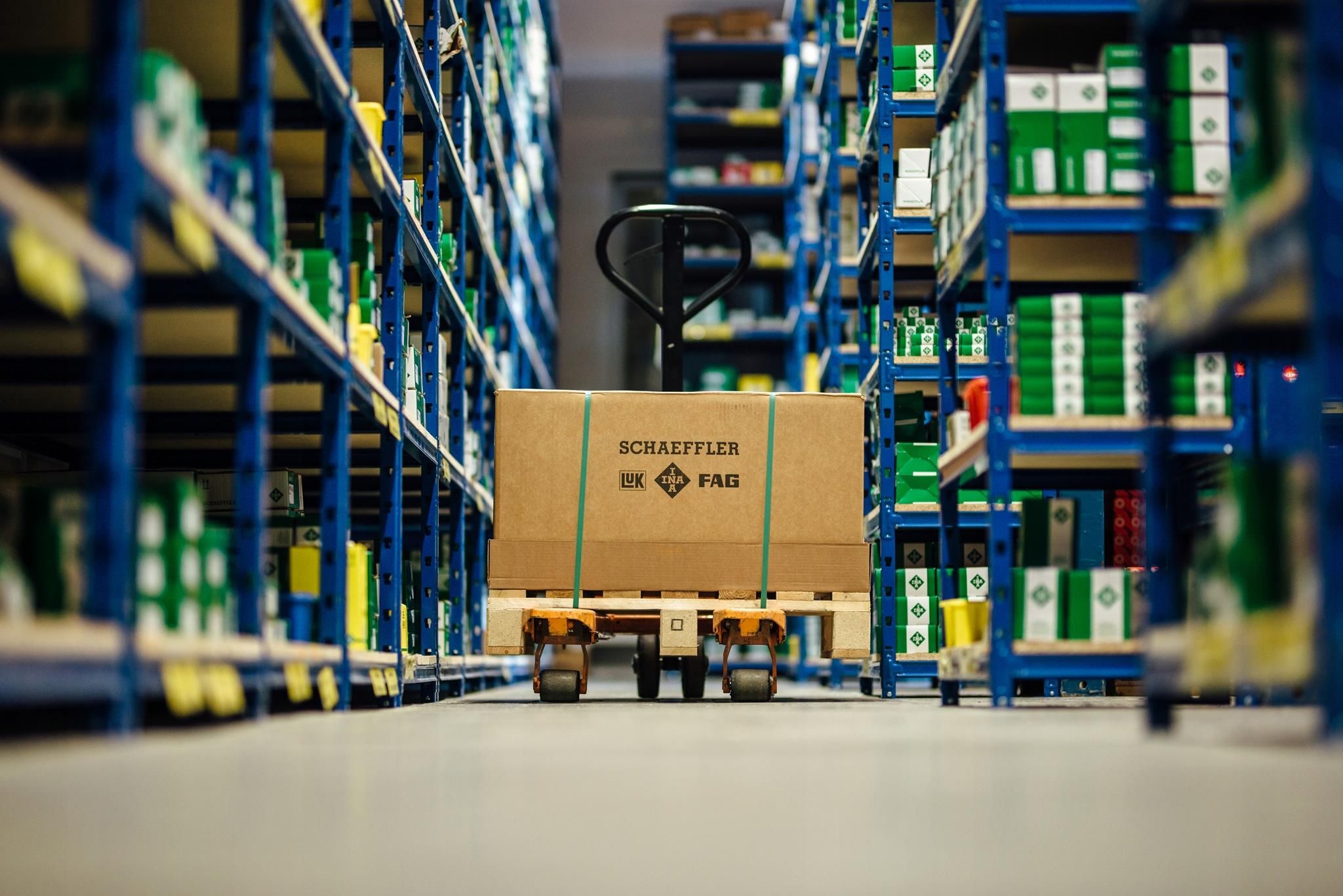 Ina Gg.Cj09-I 84,985X137X35Mm Ggcj09 - Opinie i ceny na Ceneo.pl