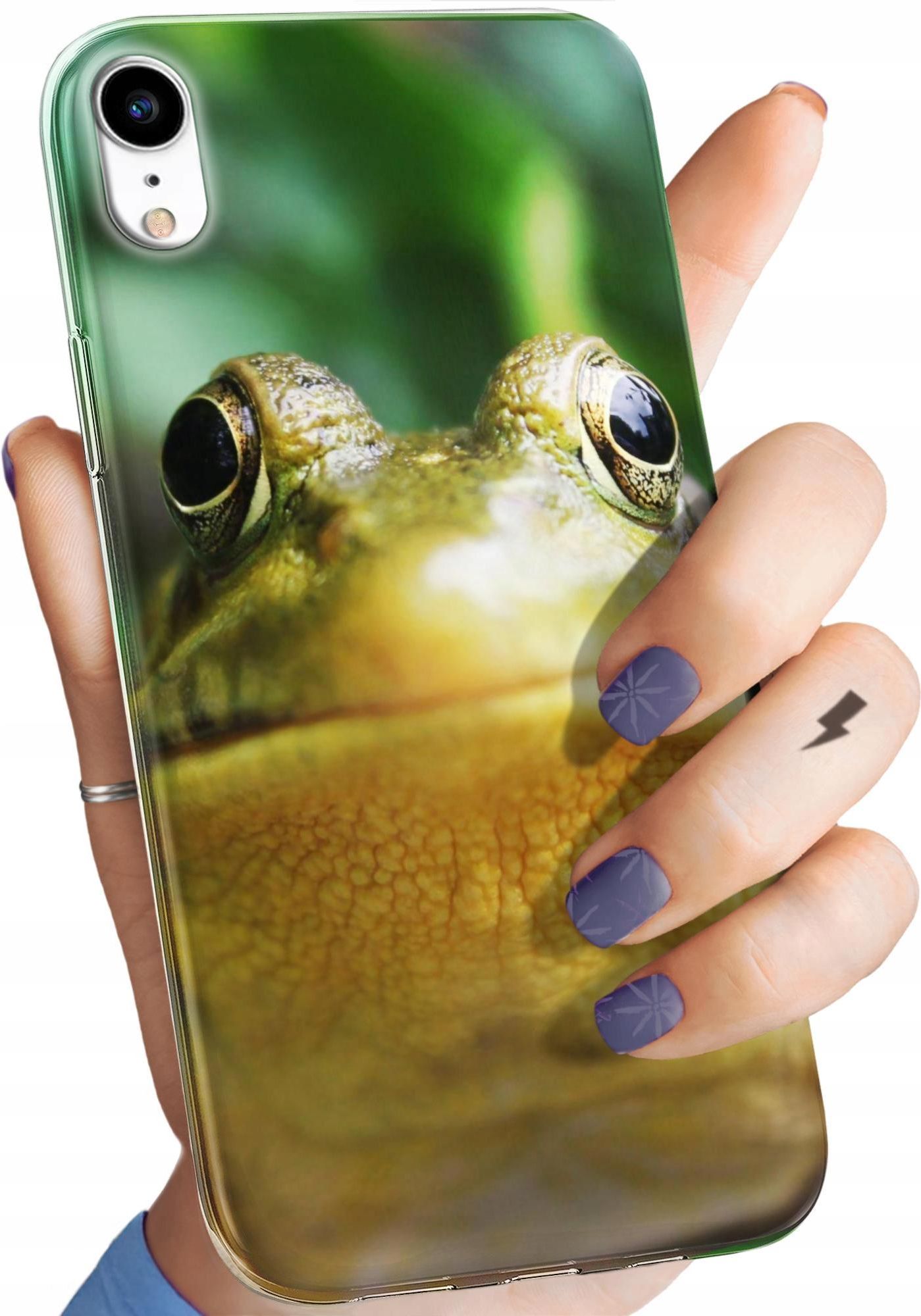 Hello Case Etui Do Iphone Xr Żabka Żaba Frog Obudowa - Etui na telefon ...