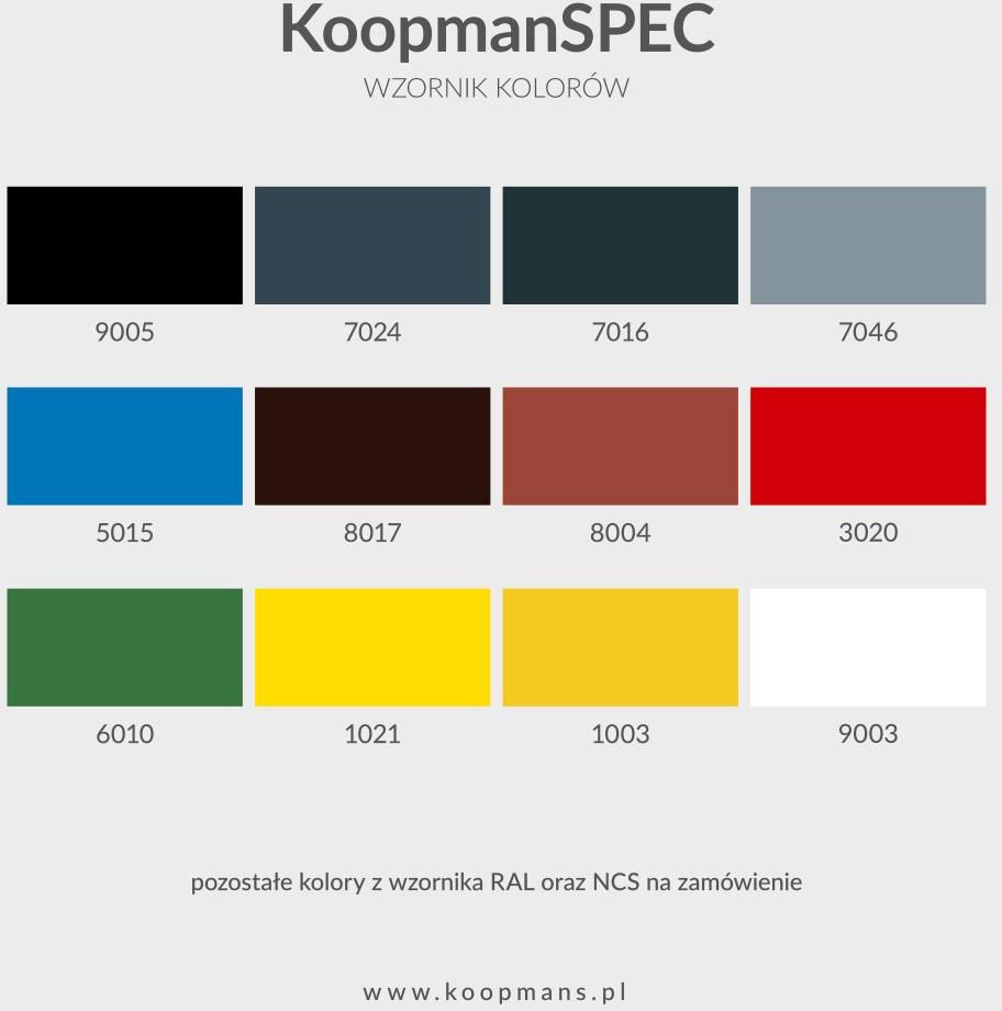 Farba KoopmanSPEC RAL 9003 250ml - Opinie i ceny na Ceneo.pl