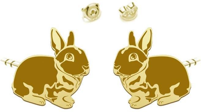 Królik Rex Karzełek Pozłacane Kolczyki - Mejk Jewellery - Ceny i opinie ...