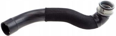 Rapro Przewód Górny Chłodnicy Mercedes W221 R28532 - Opinie i ceny na ...