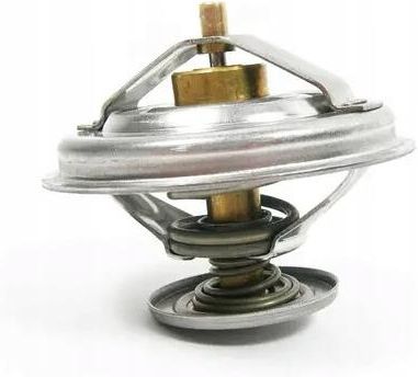 Bmw Termostat 3 E36 5 E39 7 E38 M52 11537511083 - Opinie i ceny na Ceneo.pl