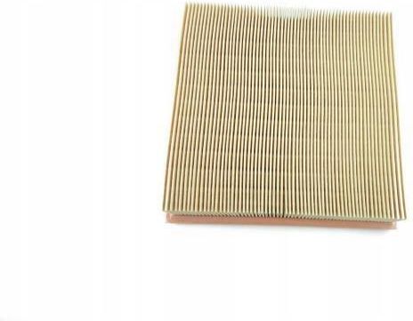 Filtr powietrza Jaguar Filtr Powietrza Xj 86-97 40 EAC5672 - Opinie i ...