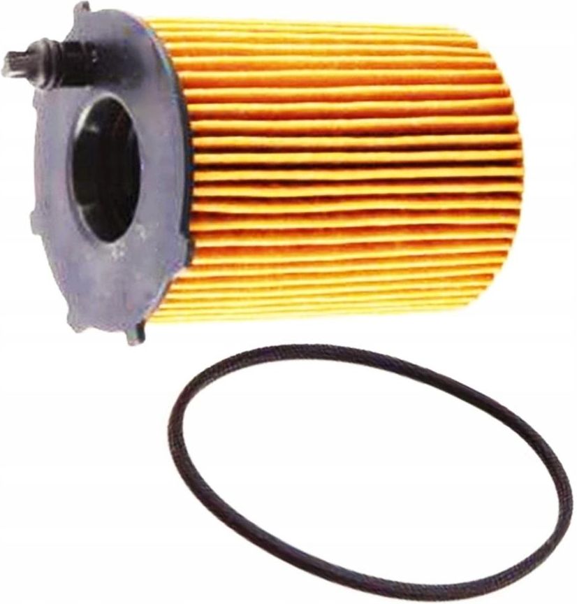 Ford Filtr Oleju Fiesta Fusion Focus C-Max 0030087 1359941 1109.Y2 ...