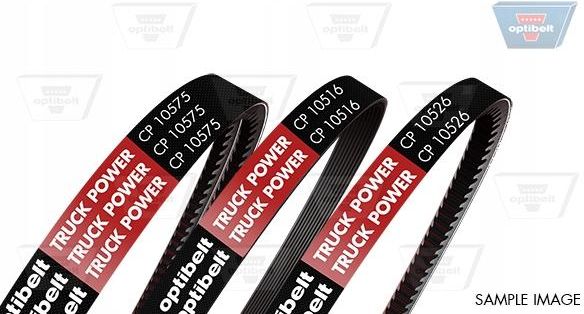 Optibelt Pasek Wielorowkowy CP10502 - Opinie i ceny na Ceneo.pl