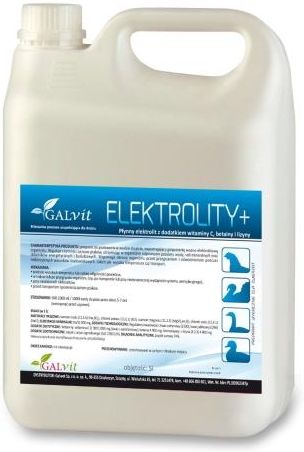 Galvit Elektrolity+ 5L Nawodnienie W Czasie Upałów (151B30766) - ceny i ...