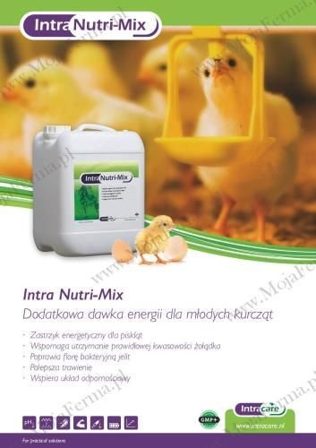 Intracare Intra Nutri-Mix 10L (855B6770A) - ceny i opinie - Ceneo.pl
