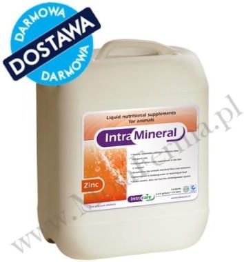 Intracare Intra Mineral Cynk 10L (AA6038874) - ceny i opinie - Ceneo.pl