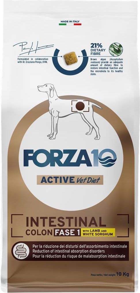 Karma Forza 10 Intestinal Colon Phase 1 Jagnięcina 10Kg - Ceny i opinie ...