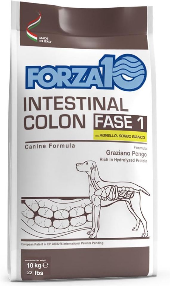 Karma Forza 10 Intestinal Colon Phase 1 Jagnięcina 2X10Kg - Ceny i ...