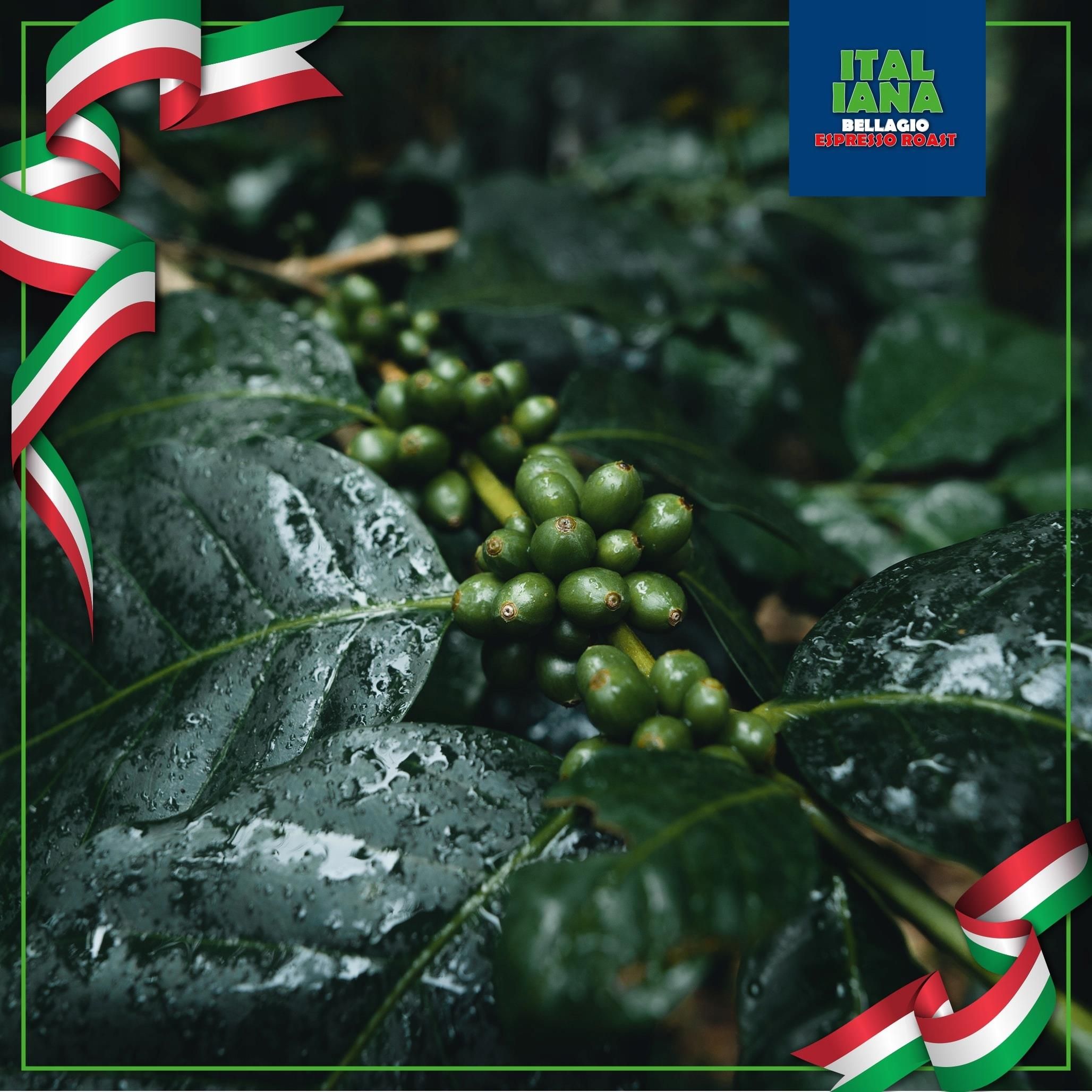 Kawa Blue Orca Coffee Italiana Bellagio Roast Ziarnista 2X1kg - Ceny i ...