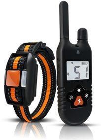 Smartpet Technology Reedog P30 - Ceny i opinie - Ceneo.pl