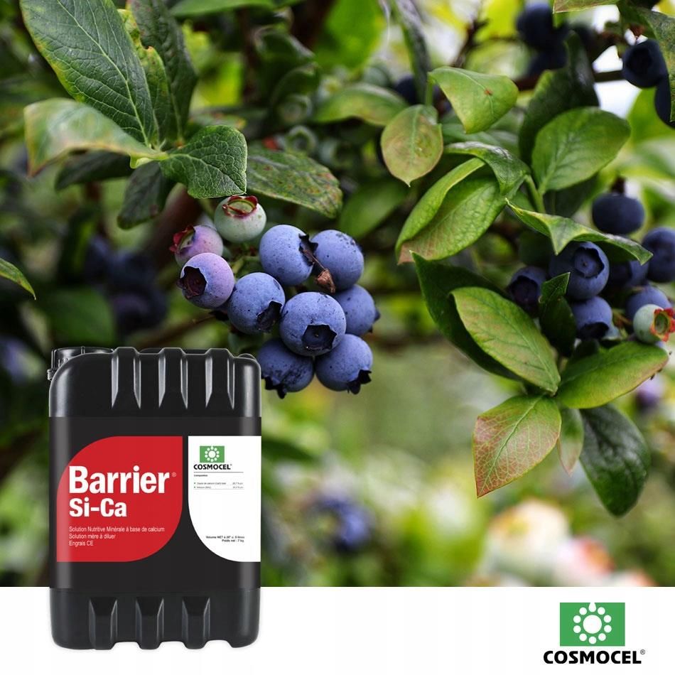 Nawóz Cosmocel Nawóz Dolistny Do Owoców Trwałość Barrier Si-Ca 5L - Ceny i opinie - Ceneo.pl