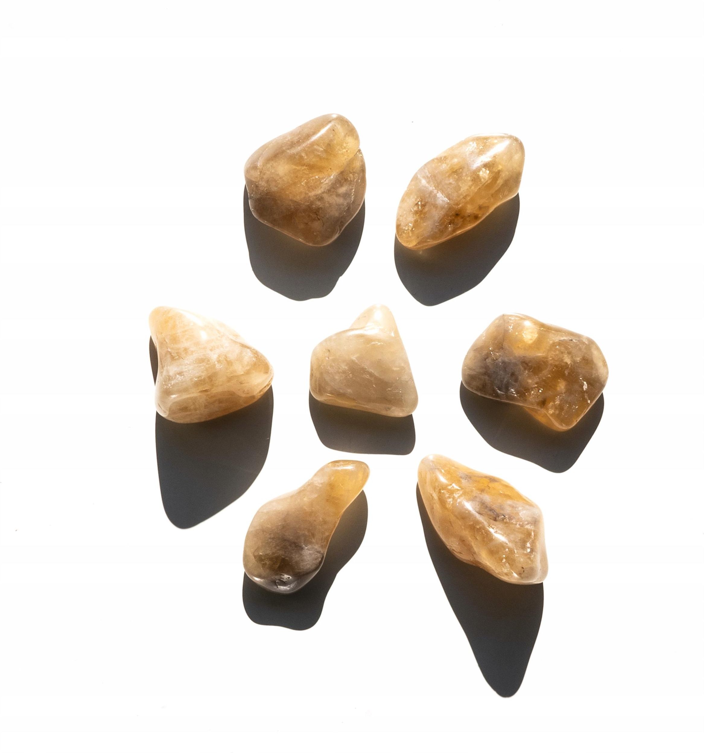 Cytryn L - Ceny i opinie - Ceneo.pl