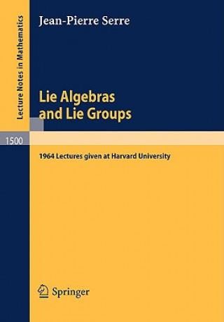 Lie Algebras and Lie Groups - Literatura obcojęzyczna - Ceny i opinie ...