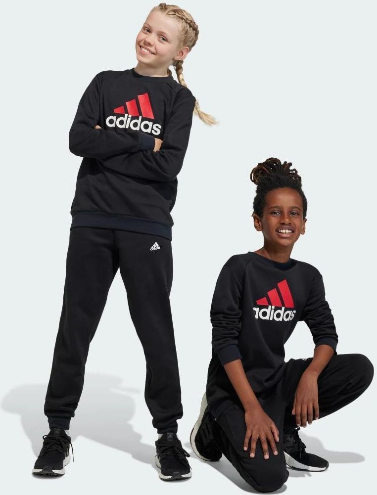 Adidas Zestaw Essentials Big Logo Fleece Jogger Kids IB4095 - Ceny i ...