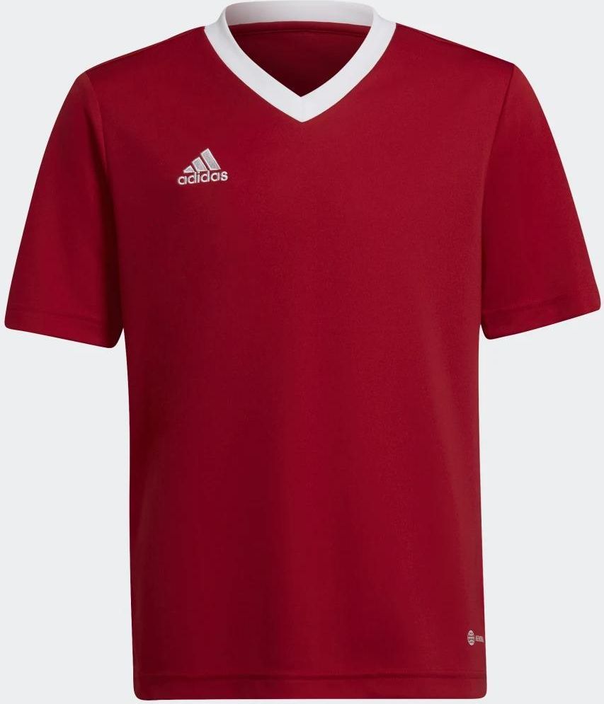 Adidas Entrada 22 Jersey H57496 - Ceny i opinie - Ceneo.pl