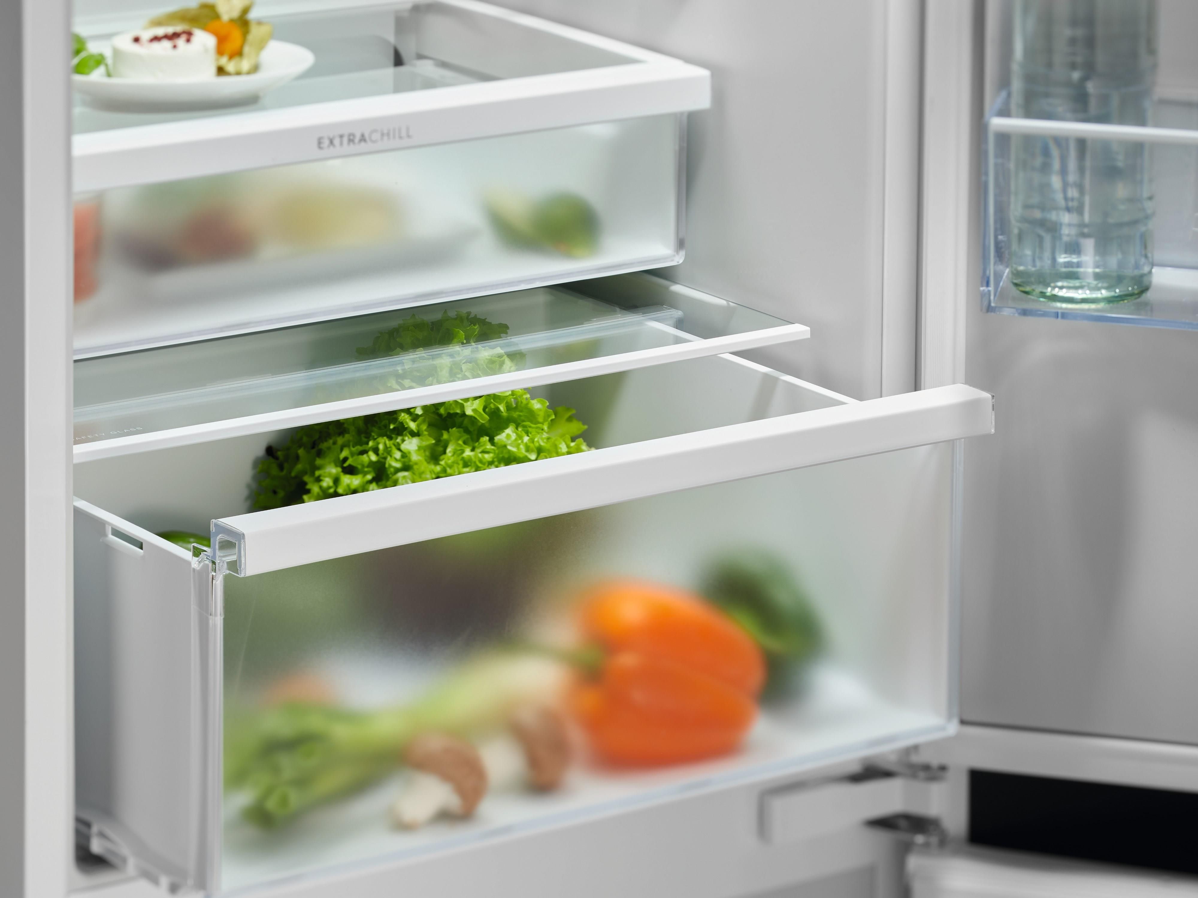 Lodówka do zabudowy Electrolux TwinTech No Frost 600 CustomFlex ENT6ME19S - Opinie i ceny na ...