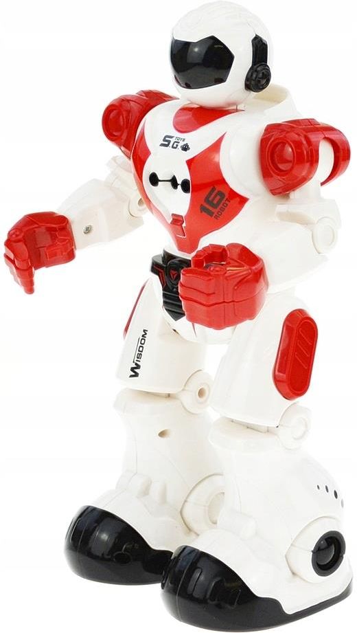 Hh Poland Robot Interaktywny Zdalnie Sterowany Opowiada Pyta - Ceny i ...