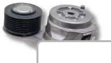 Ergis Napinacz Paska (87345929) - Ceny i opinie - Ceneo.pl