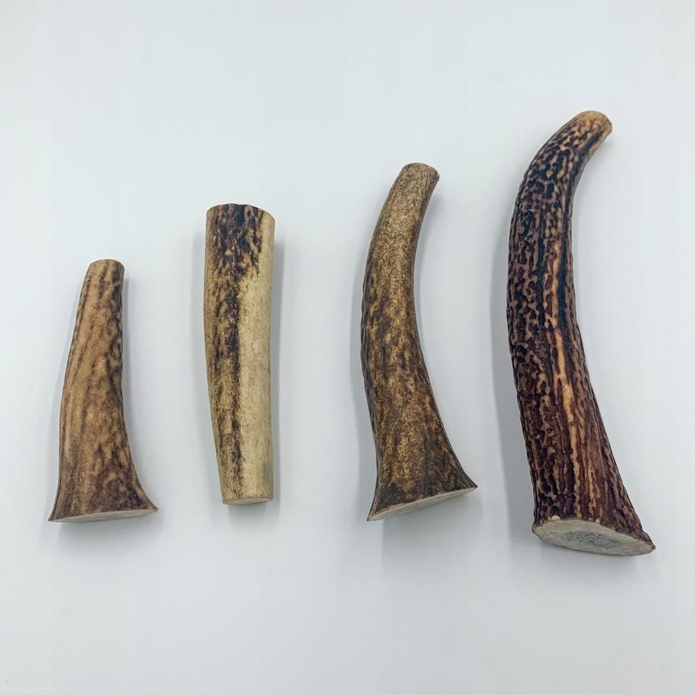 Karma Psowo Poroże Rogi Jelenia Dla Psa Hard S - Ceny i opinie - Ceneo.pl