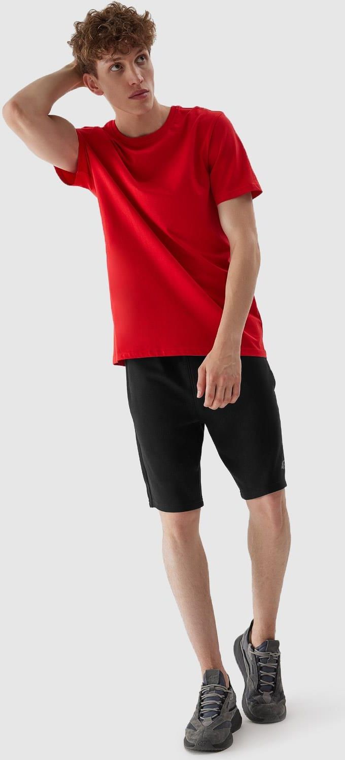 Koszulka Męska T-shirt Sportowy 4F - Ceny i opinie - Ceneo.pl