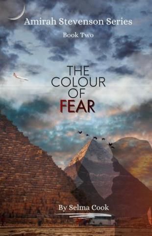 The Colour of Fear: Amirah Stevenson Series Book Two - Literatura ...