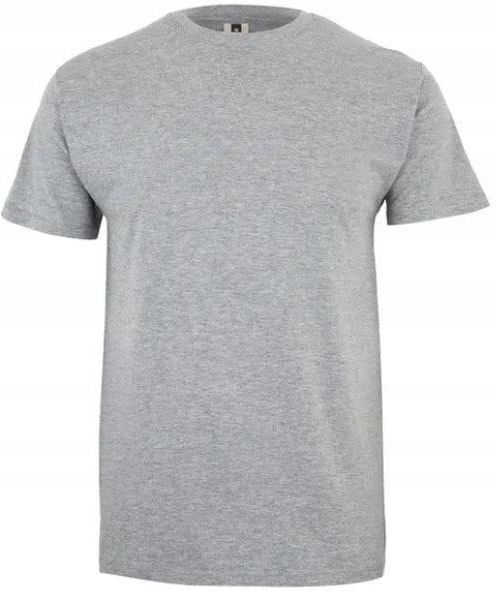 Avacore Koszulka Męska L Szara - Ceny i opinie - Ceneo.pl