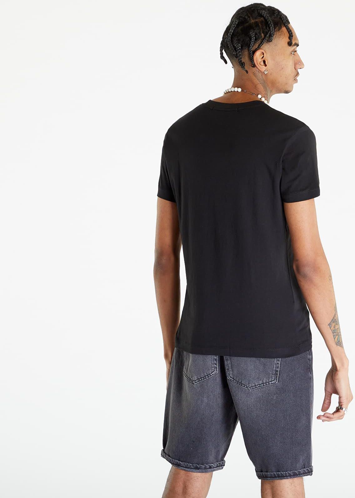 Calvin Klein Jeans Transparent Stripe S/S T-Shirt Black - Ceny i opinie ...